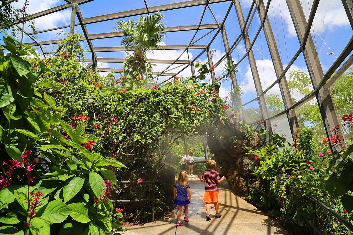 little explorers at butterfly world