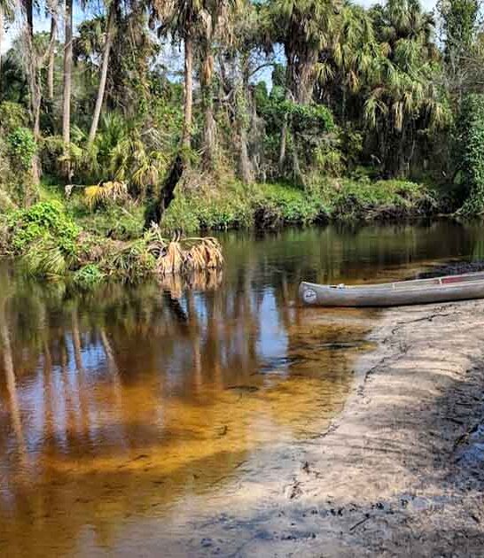 little known state park florida ftr