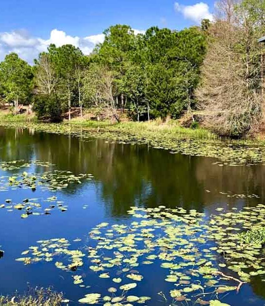 magical botanical garden florida ftr