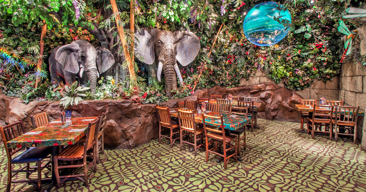 michigan rainforest themed cafe ftr