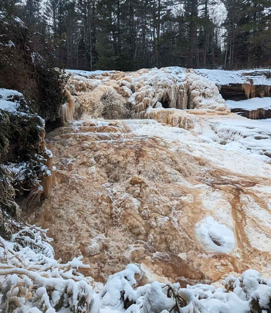 michigan trail winter palace ftr
