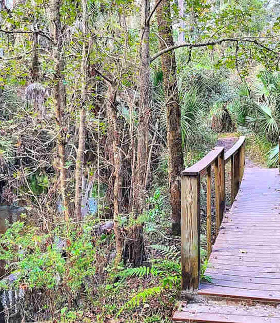 one mile trail florida ftr