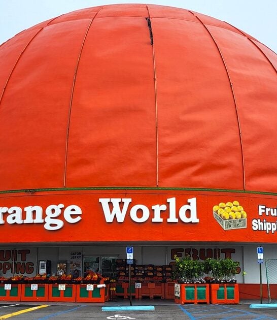 orange gift shop florida ftr