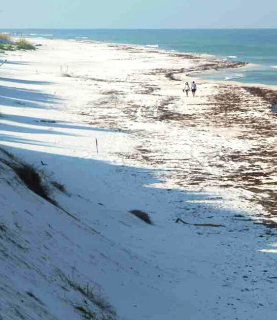 road trip florida treasures ftr