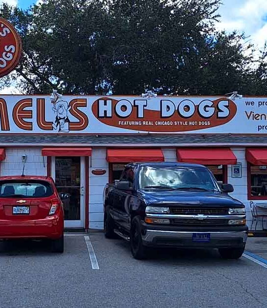 timeless hotdog joint florida ftr