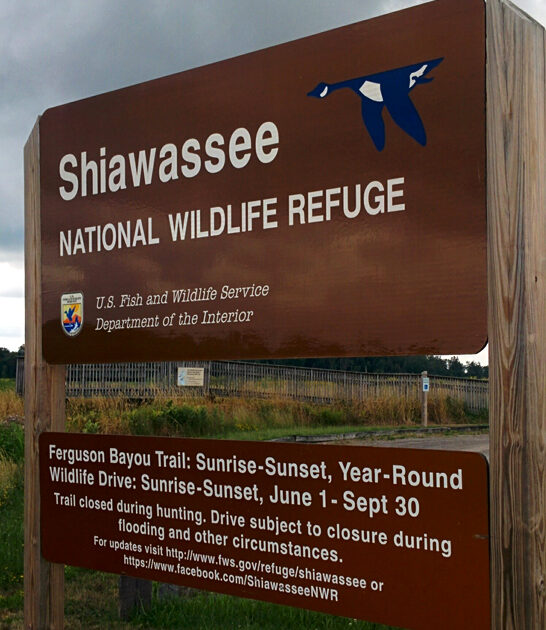 underrated wildlife area michigan ftr