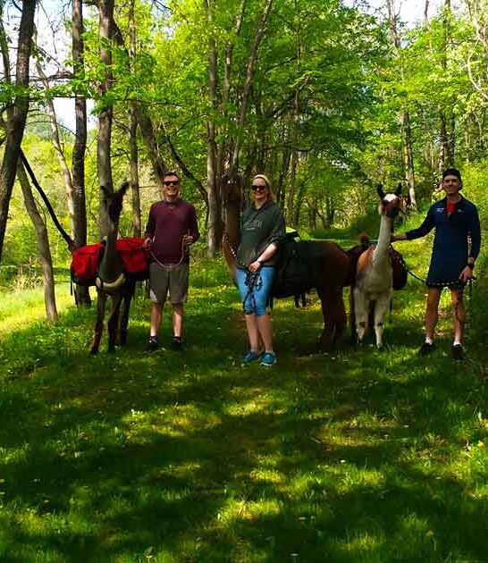 wisconsin trek with llamas ftr