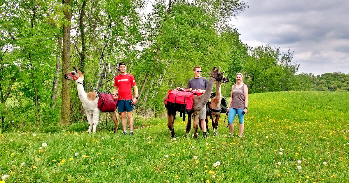 wisconsin trek with llamas ftr