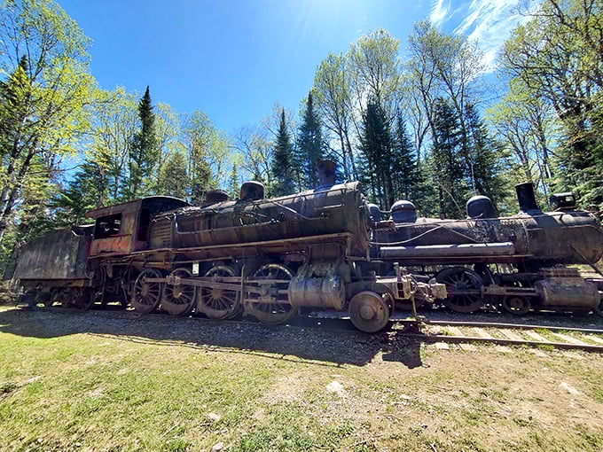 Rusting giants slumber under Maine's blue skies, their steel frames telling tales of logging's golden age.