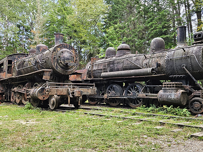 Rusting giants slumber in the Maine wilderness, their steel frames slowly surrendering to nature's persistent embrace.