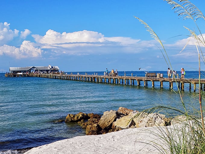The historic Anna Maria City Pier stretches into Tampa Bay like a runway to paradise, where fishing, dining, and dolphin-watching create the perfect Florida trifecta.