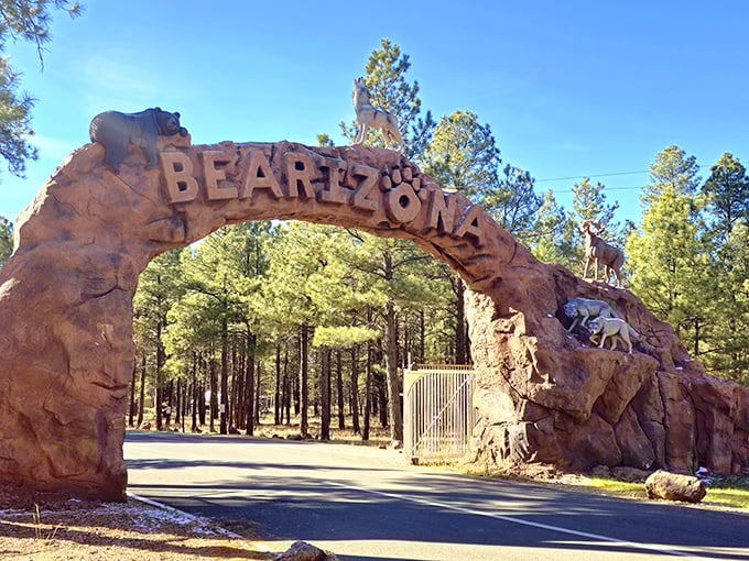 The iconic Bearizona entrance arch welcomes visitors with stone wildlife sculptures &ndash; nature's red carpet to an unforgettable wild adventure.