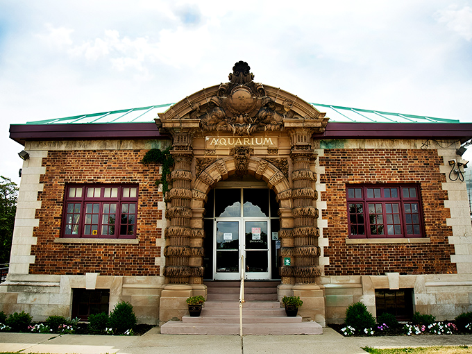 The ornate Beaux-Arts entrance beckons visitors with century-old grandeur, like a Roman bath that decided to house fish instead of senators.
