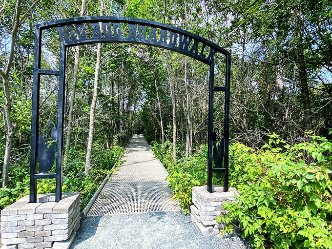 The welcoming arch to Big Bog's boardwalk stands like a portal to another world, inviting adventurers into Minnesota's most unusual ecosystem.