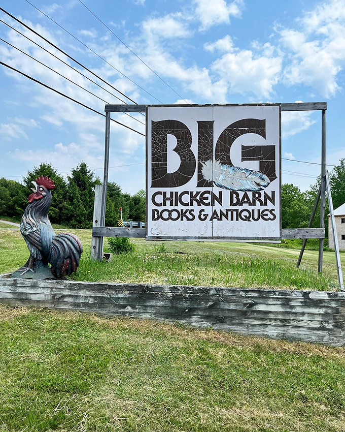 The iconic Big Chicken Barn sign welcomes treasure hunters with its weathered charm and proud rooster silhouette, standing sentinel against the Maine sky.