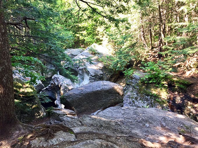 Bingham Falls cascades over ancient rocks like nature's own staircase, creating the kind of scene that makes you forgive Vermont for its winters.