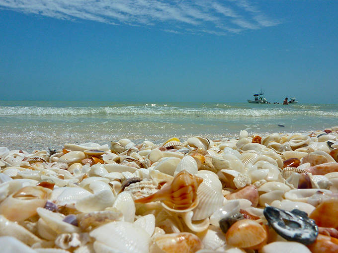 Blind Pass Beach: Where the Gulf of Mexico delivers its daily treasure trove of shells, creating nature's most beautiful welcome mat.