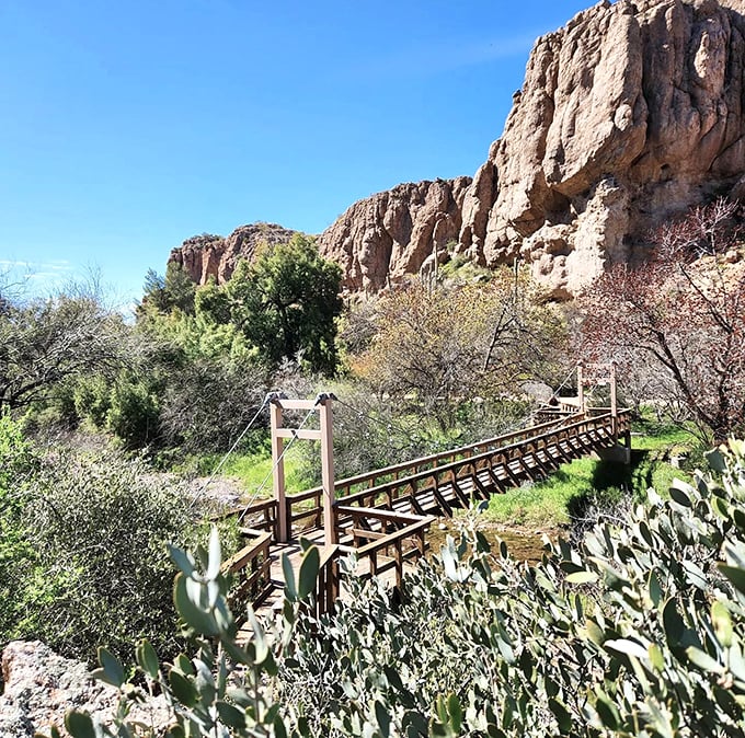 Wooden pathways wind through dramatic desert landscapes, inviting explorers to discover what lies beyond each bend.
