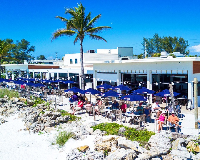 Bradenton Beach: Where turquoise umbrellas mirror the Gulf waters, and palm trees stand sentinel over diners enjoying Florida's coastal bounty.