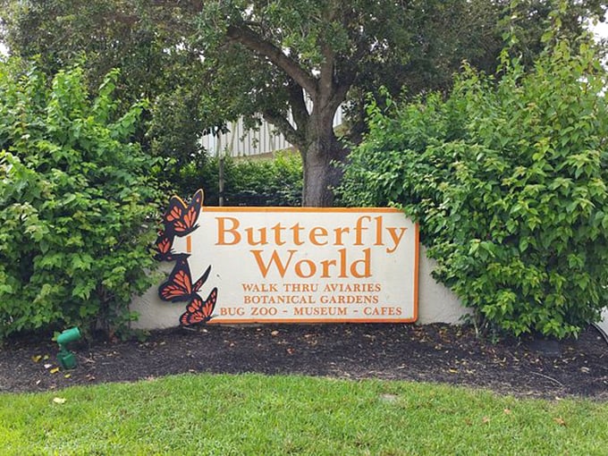 Welcome to butterfly paradise: where the entrance sign promises aviaries and gardens but can't possibly prepare you for the fluttering magic within.