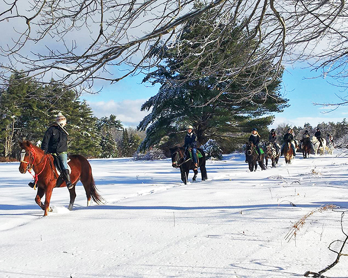 Riders traverse Carousel Horse Farm's snow-blanketed trails, where every hoofprint tells a story and winter's magic unfolds with each step forward.