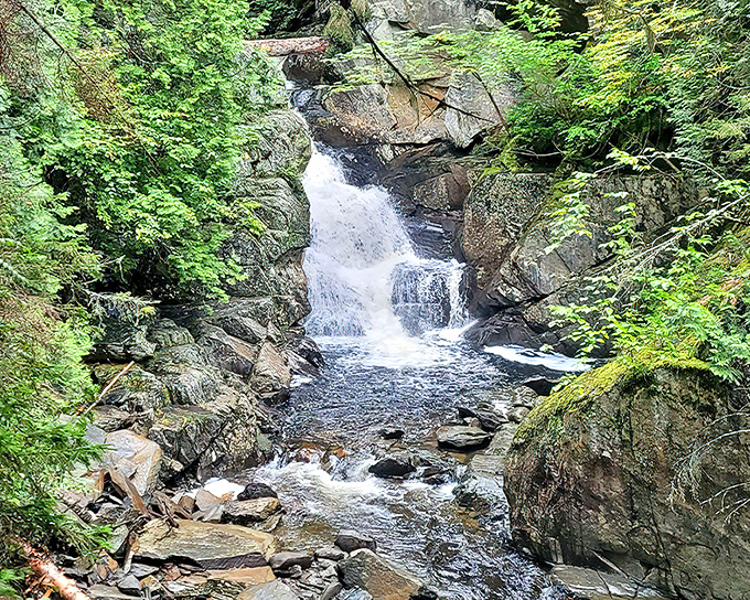 Water meets rock in a timeless dance at Cascade Stream Gorge Trail, where nature's symphony plays on repeat for lucky visitors.