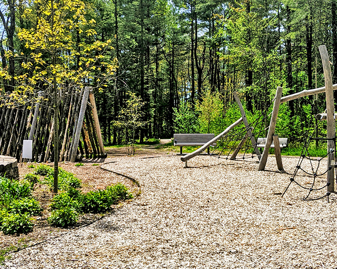 Nature's playground comes alive at City Center Park, where wooden structures invite exploration among towering pines and dappled sunlight.