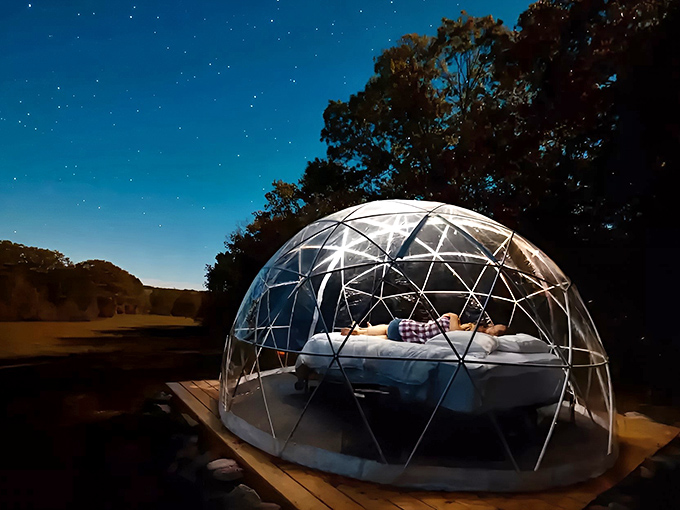 A transparent dome glows like a fallen star against Maine's night sky, promising dreams beneath celestial wonders.
