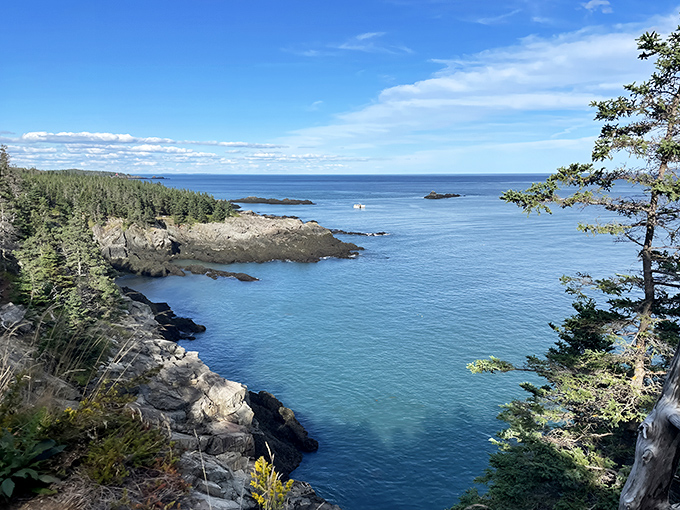 Nature's infinity pool: Cutler Coast's pristine waters meet dramatic cliffs, creating a postcard-perfect Maine moment that no filter could improve.
