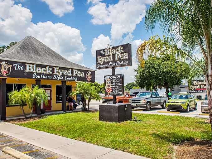 Downtown Dade City welcomes you with palm trees and sunshine, looking like Main Street USA decided to vacation in Florida permanently.