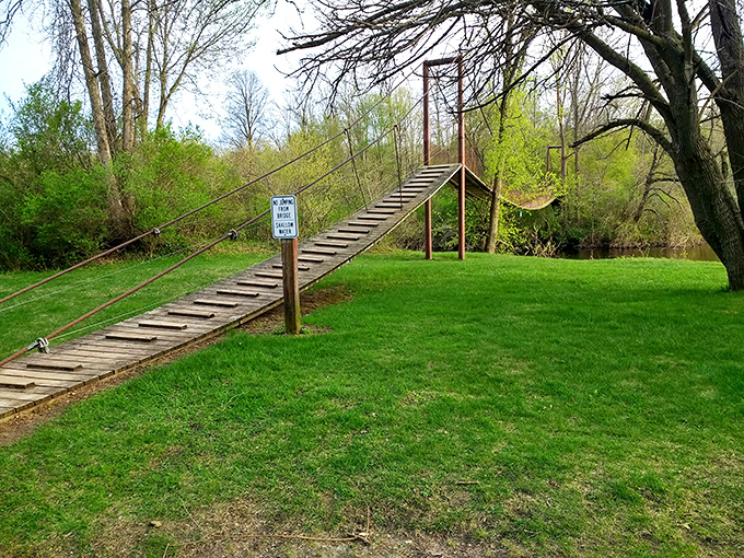 Welcome to Deerfield Nature Park: Where 591 acres of Michigan wilderness become your personal playground of trails, bridges, and riverside wonders.