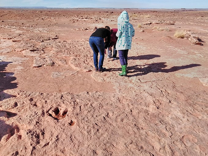 Ancient impressions in red rock tell stories of creatures that roamed here millions of years before humans existed.