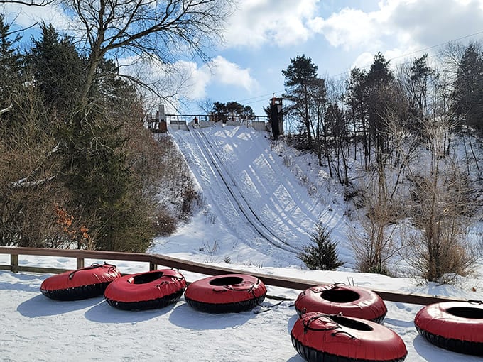 Echo Valley's toboggan runs stretch down the hillside like frozen highways to happiness, promising speeds that'll make your eyes water and your heart race.