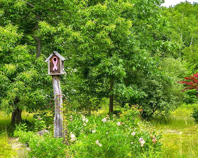 Welcome to Ecotat Gardens, where Mother Nature shows off her design skills with a birdhouse that's giving serious real estate envy to the local feathered residents.