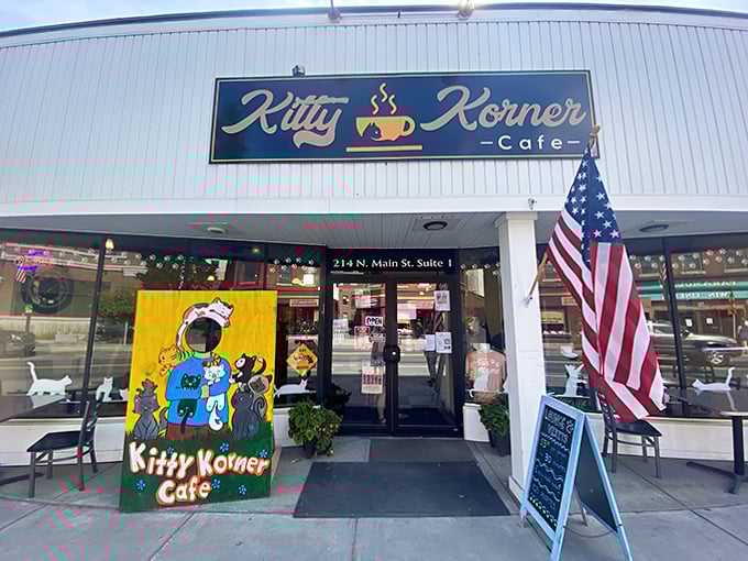 Welcome to whisker wonderland! Kitty Korner Cafe's inviting storefront promises feline fun and delicious treats behind those door.