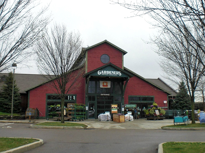 That red barn exterior hides Vermont's most delicious secret, where garden supplies and gourmet sandwiches coexist in perfect harmony.