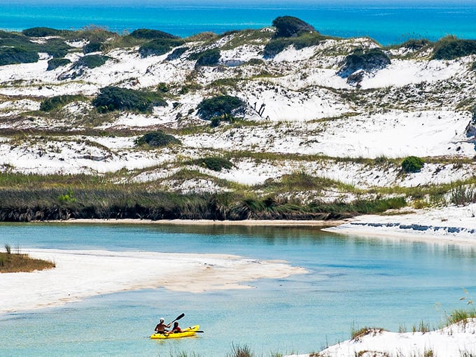 Nature's watercolor masterpiece: Pristine dunes meet crystal waters at Grayton Beach, where kayakers discover serenity in every paddle stroke.
