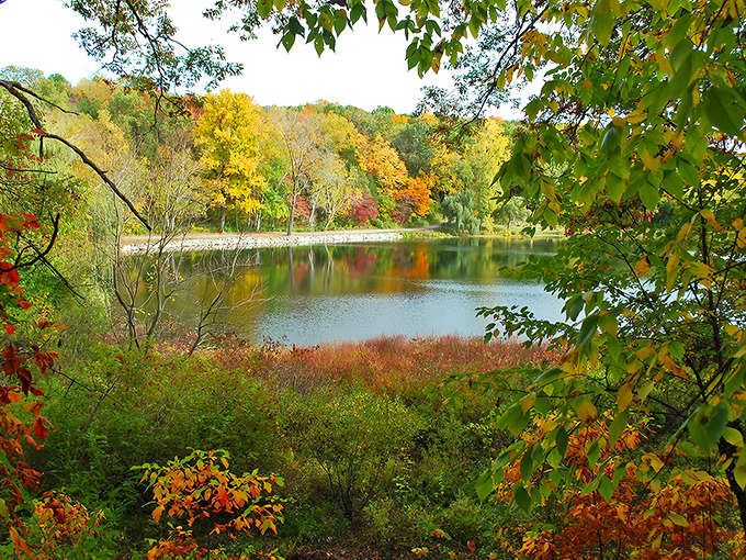 Where Michigan's best-kept secret blooms year-round, this domed conservatory houses tropical wonders even when snow blankets the grounds outside.