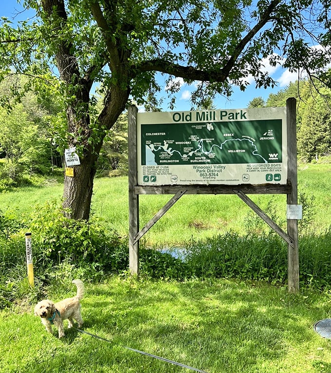 Where Vermont's natural beauty unfolds along a 0.9-mile loop that feels like stepping into a living postcard.