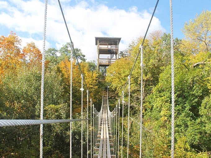 The suspension bridge stretches across the autumn-painted forest, leading adventurers to Kerfoot's signature tower and the thrilling ziplines beyond.