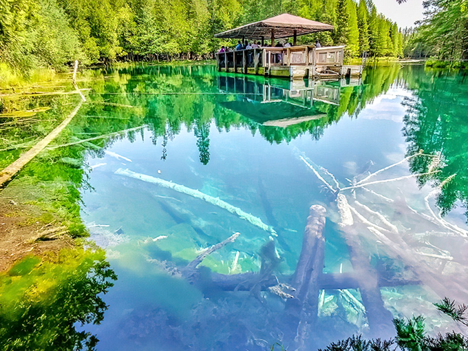 Nature's infinity pool: Kitch-iti-kipi's emerald waters create a mirror-like surface that reflects the surrounding pines with crystal clarity.
