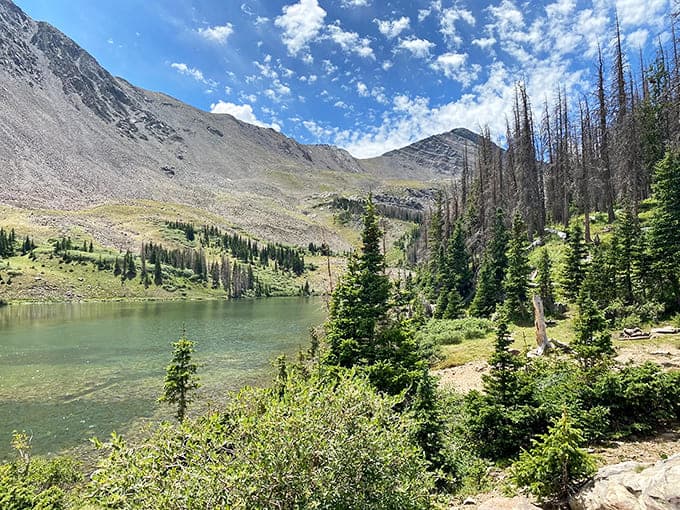 That moment when you realize Michigan's been hiding scenery this good in its back pocket all along, just waiting for you to discover it.