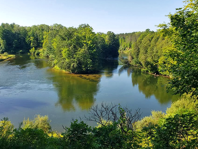 The Manistee River curves through Michigan's forests like nature's own masterpiece, reflecting the sky in its gentle waters.