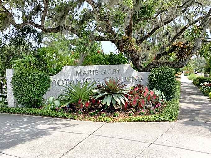 The elegant entrance to Marie Selby Botanical Gardens welcomes visitors with tropical foliage and promises of botanical wonders beyond.