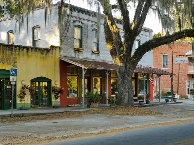 Micanopy's historic downtown looks like time took a coffee break around 1895 and forgot to clock back in.