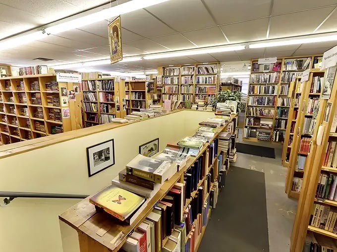 Midway Used & Rare Books welcomes literary explorers with wooden shelves stretching to the ceiling, creating a maze of knowledge waiting to be discovered.