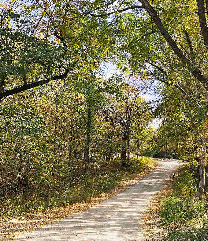 The Minnesota River Valley National Scenic Byway Where nature wrote a love letter to Minnesota using water, trees, and sky as ink.