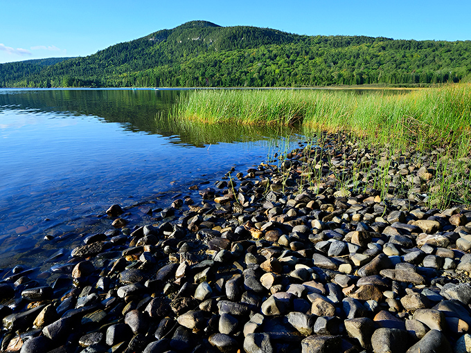 Nature's perfect mirror: Nahmakanta's crystal waters reflect towering pines and endless sky in a wilderness symphony.