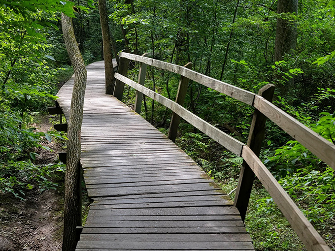 A wooden boardwalk winds through lush green forest, creating a magical pathway into nature's embrace.