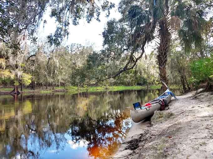 Peace River's tranquil waters and moss-draped trees create the perfect backdrop for your prehistoric treasure hunt adventure.